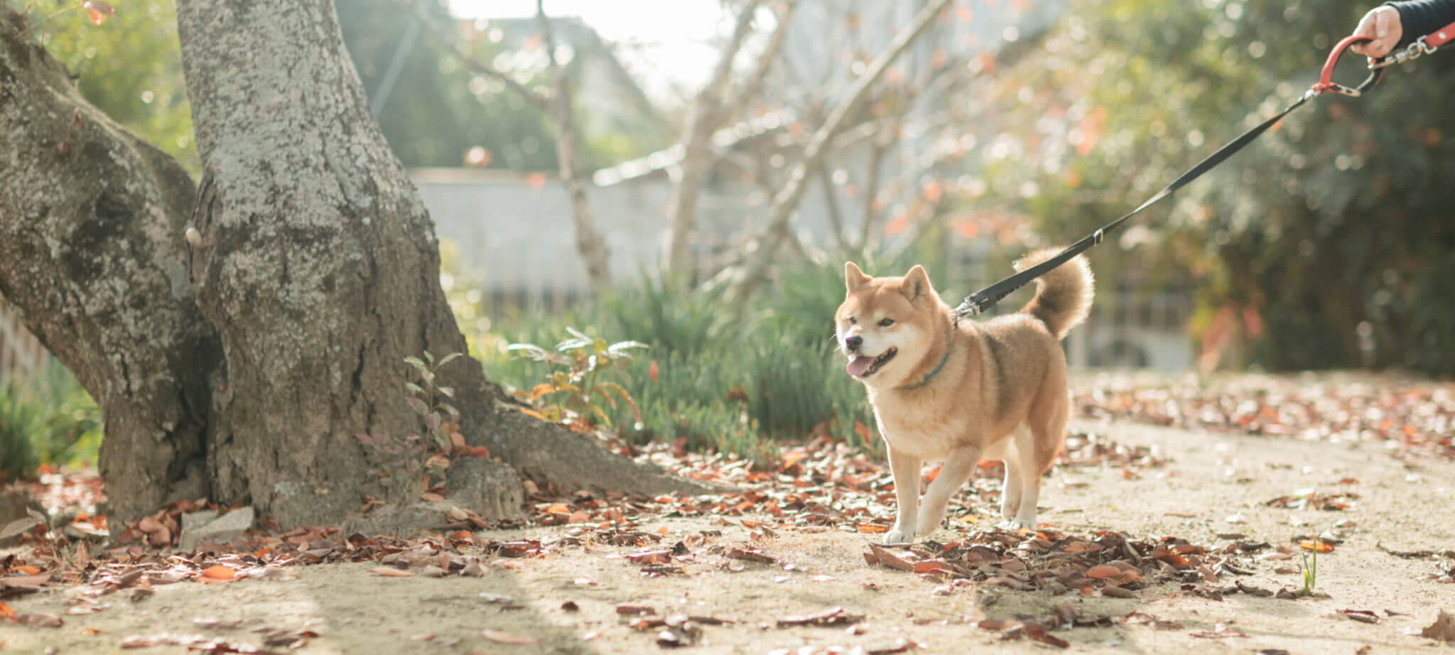 dot LIFE（ドットライフ）とは | dot LIFE（ドットライフ）