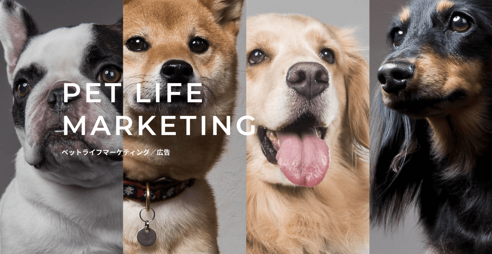 marketing_thumbnail | dot LIFE（ドットライフ）